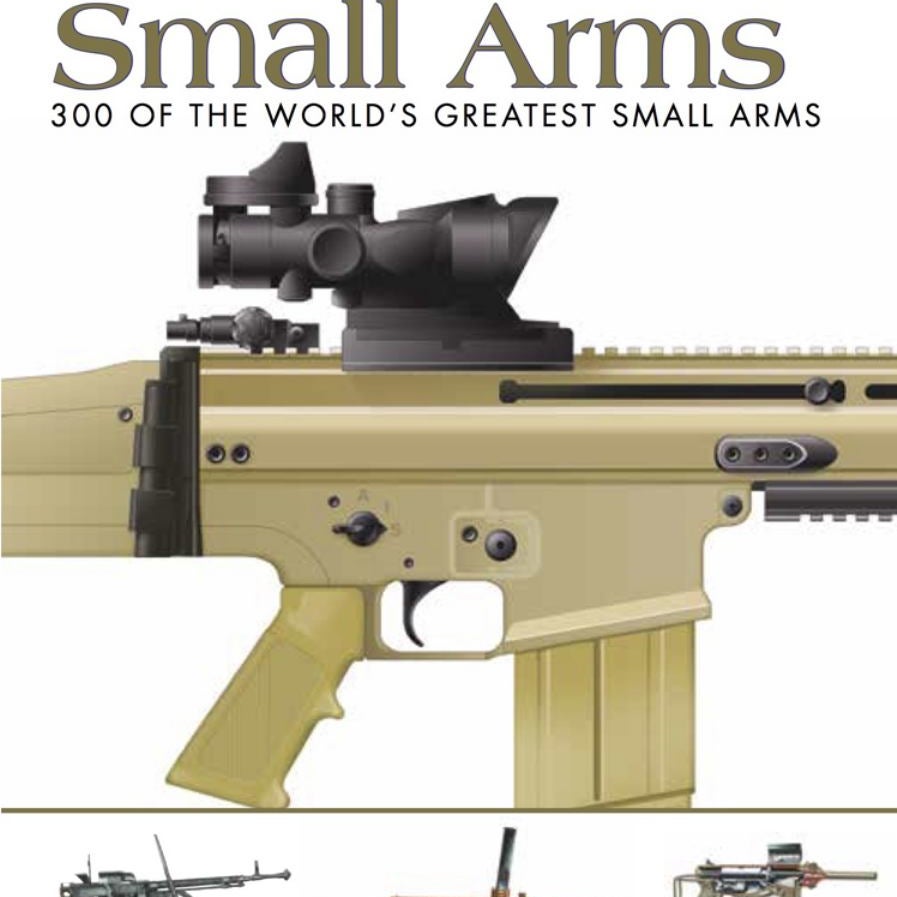 Modern Small Arms by Chris McNab