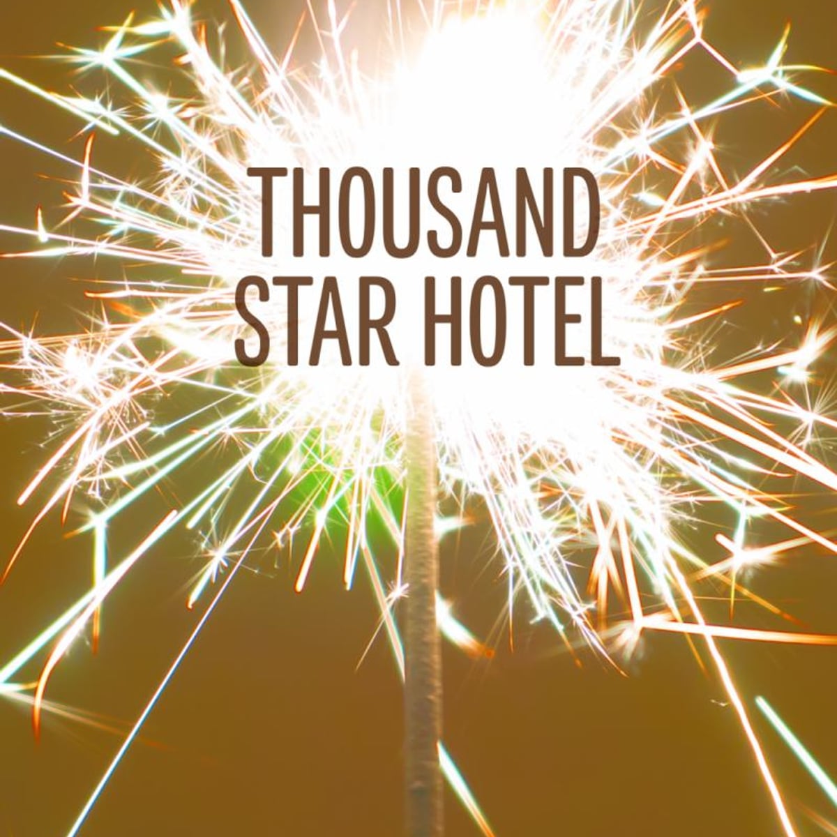 Thousand Star Hotel by Bao Phi