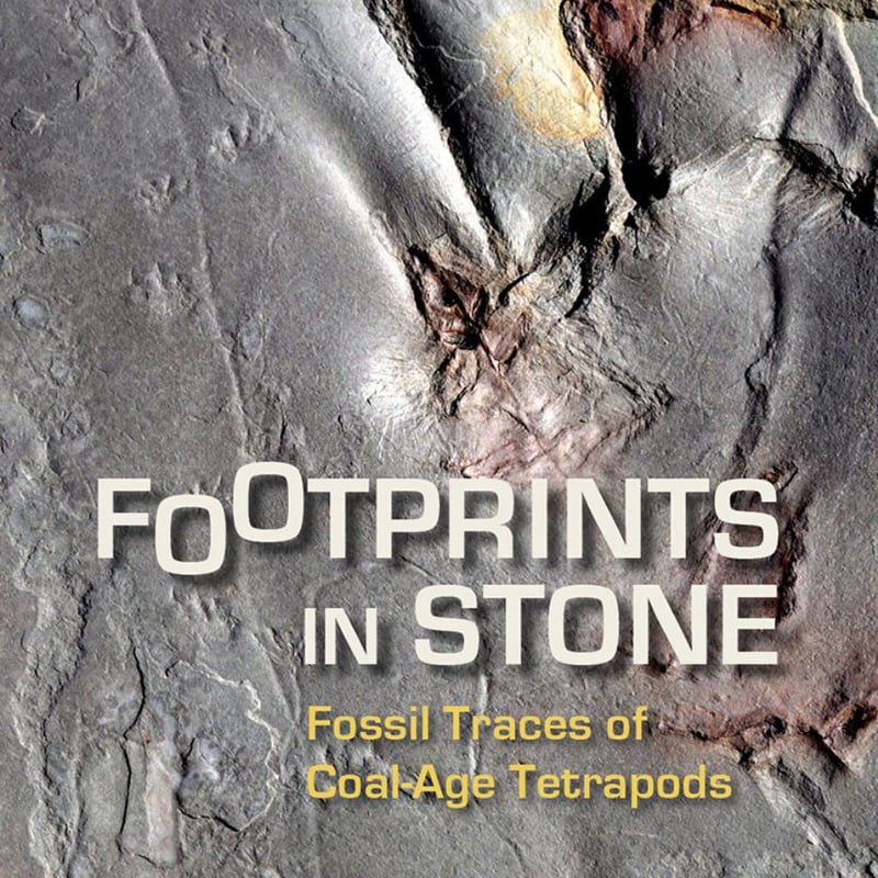 Footprints in Stone by Dana J. Ehret | Pangobooks