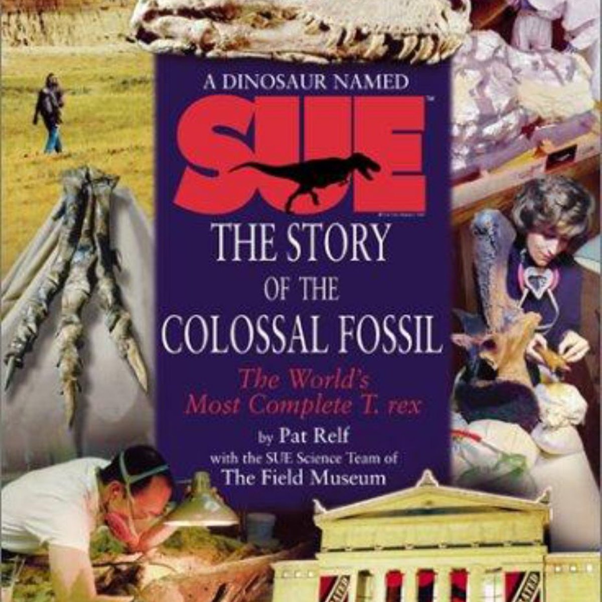 A Dinosaur Named Sue by Patricia Relf