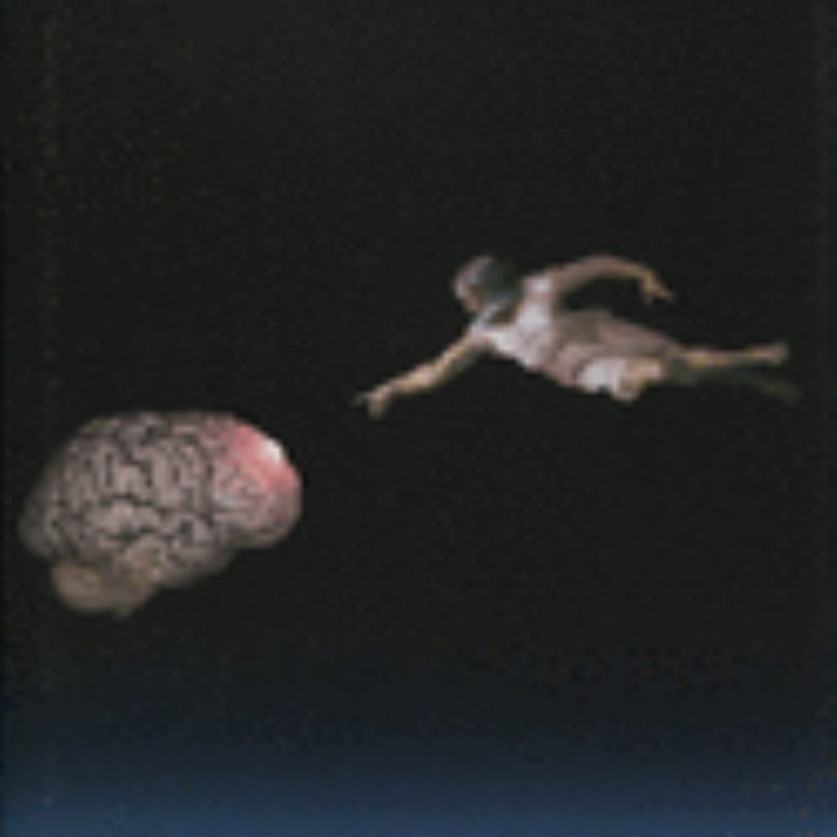 The Executive Brain by Elkhonon Goldberg