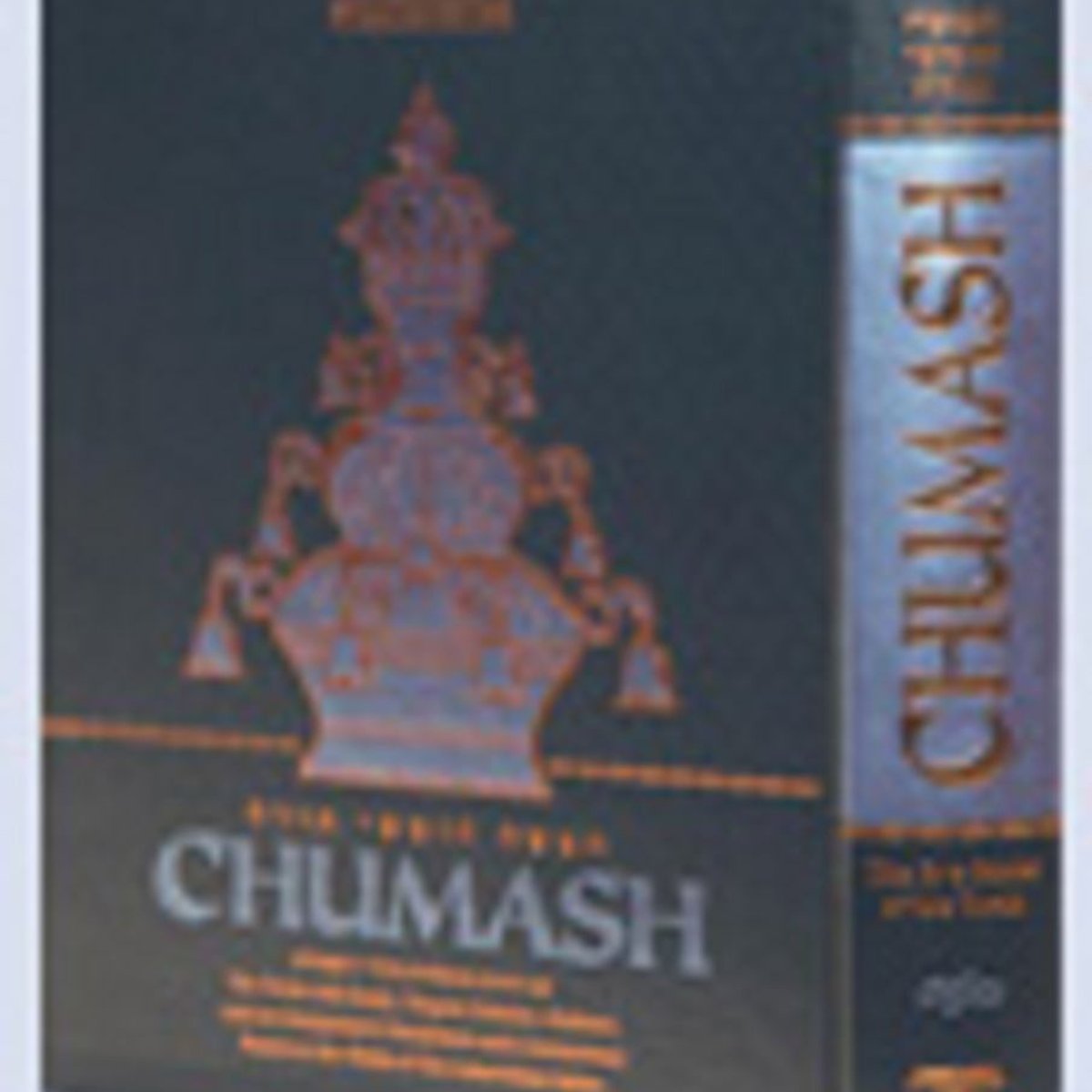 Chumash by Chaim Nochum Cunin, Rabbi Chaim Nochum Cunin, Rabbi Baruch ...