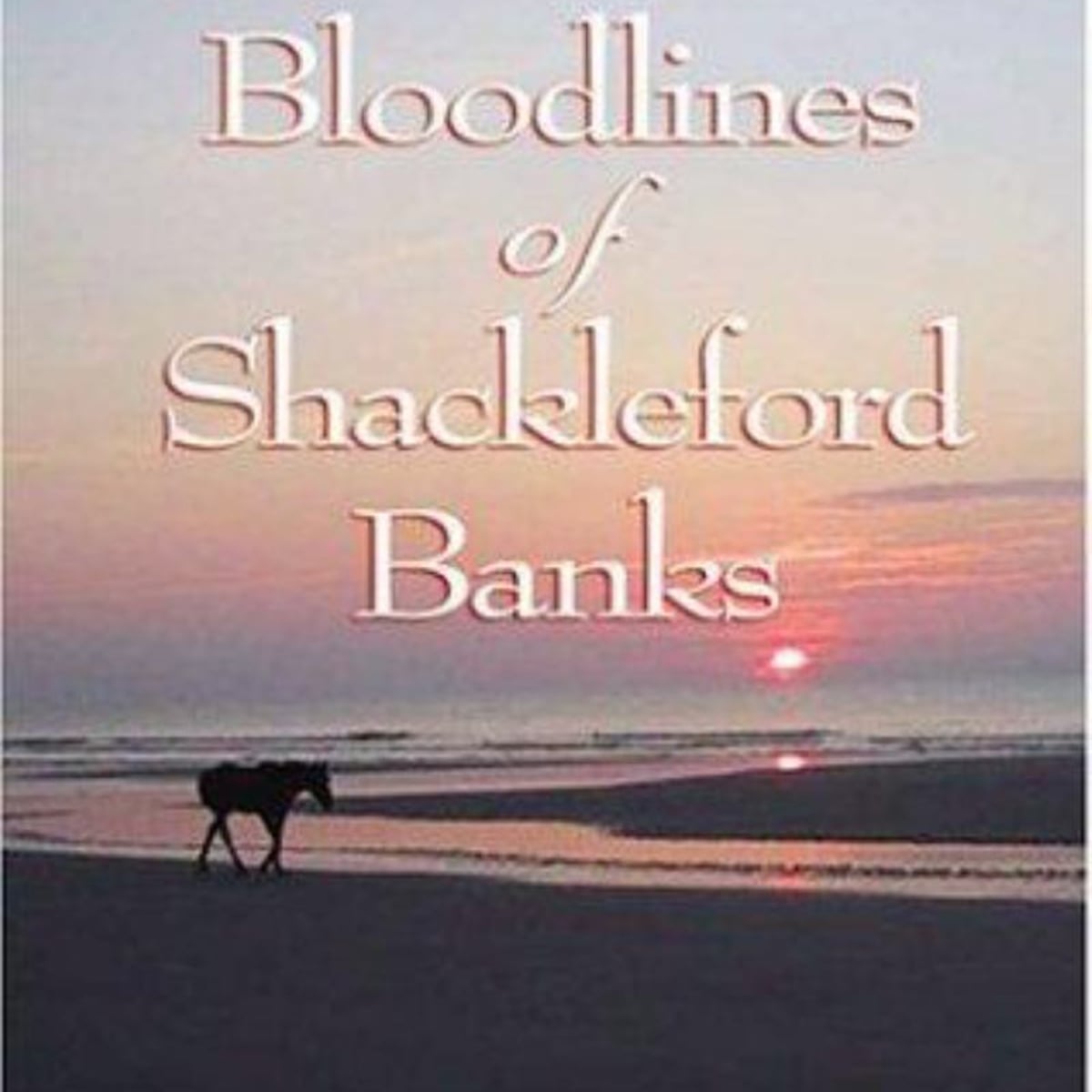 Bloodlines of Shackleford Banks by B. J. Mountford