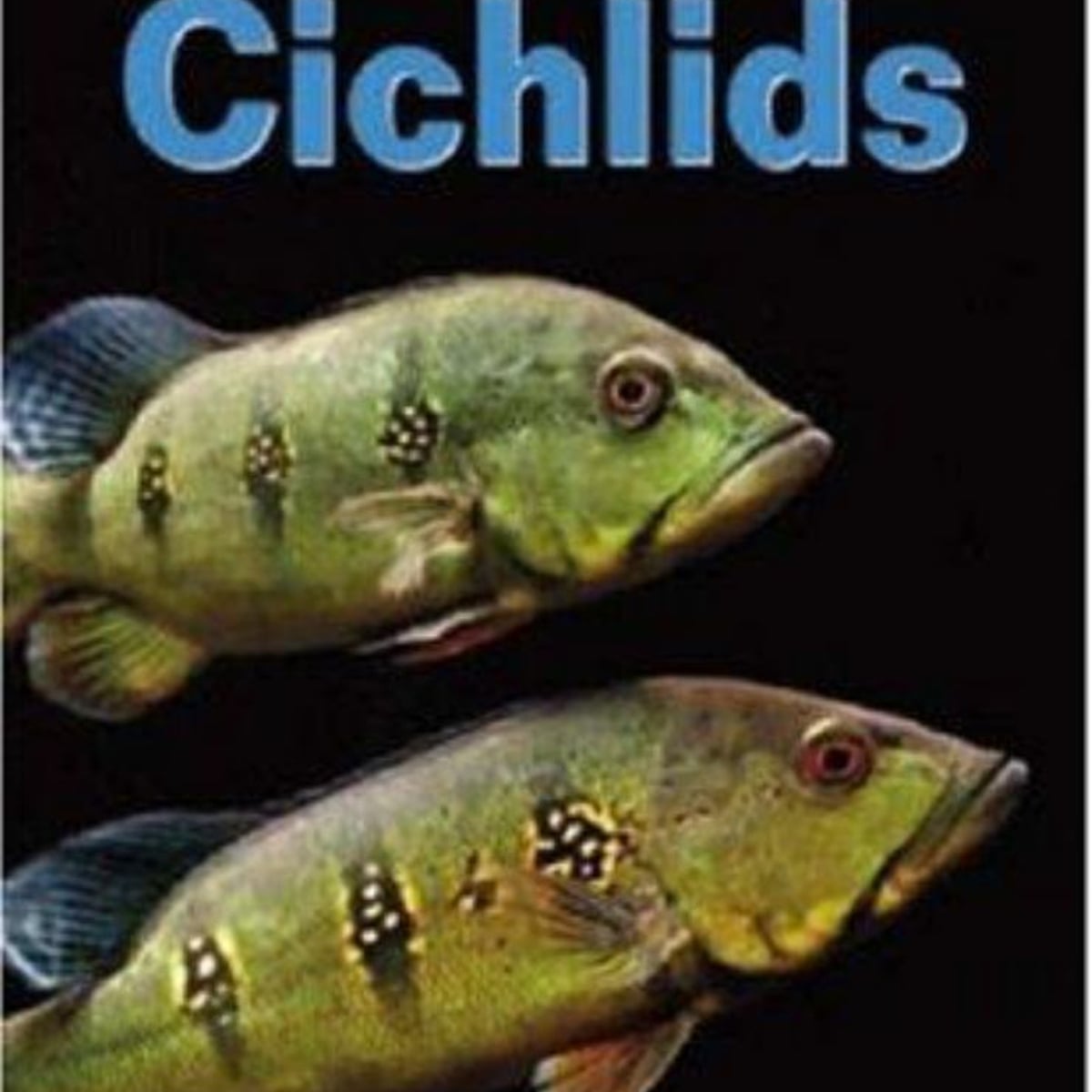 Guide to Cichlids by David E. Boruchowitz