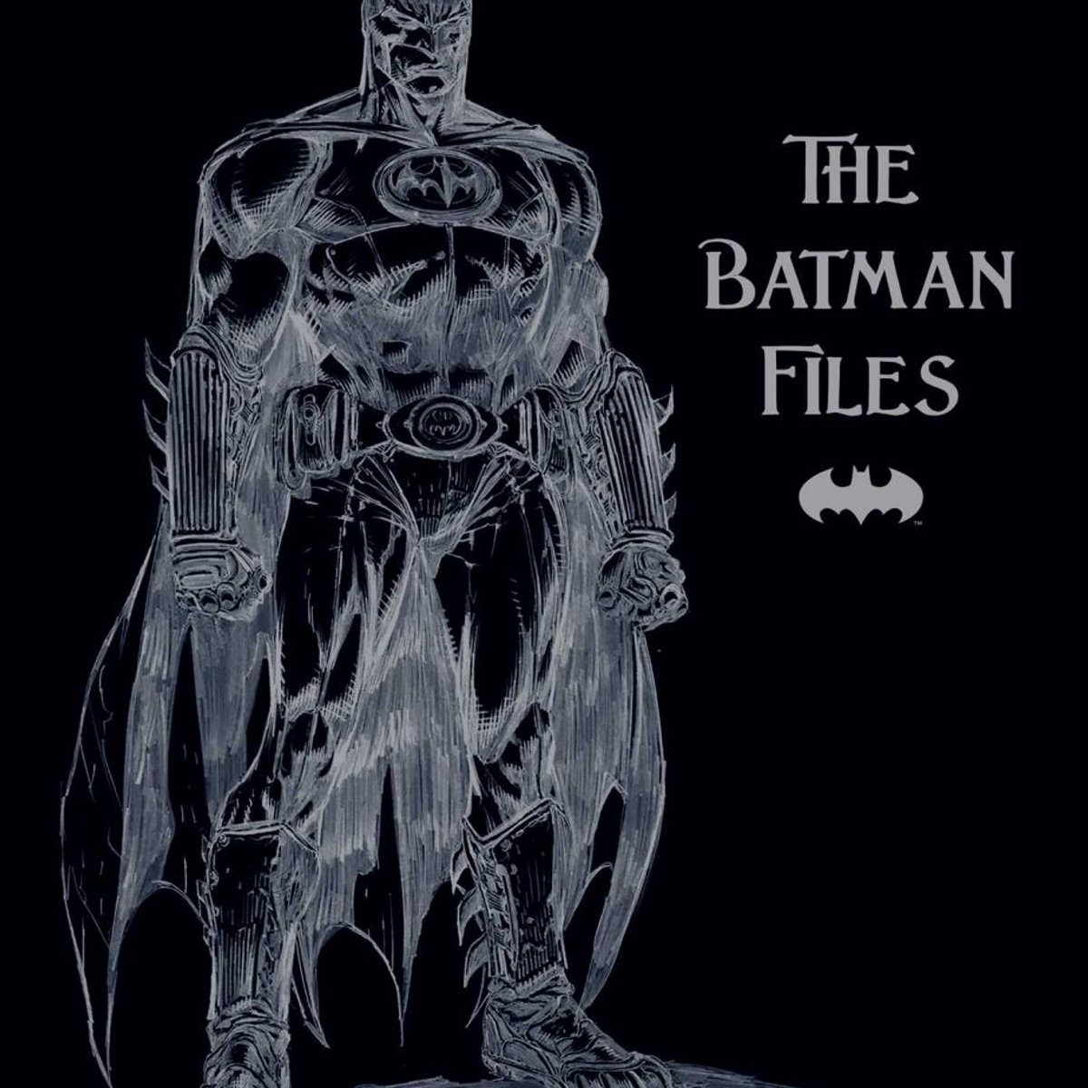 The Batman Files by Matthew K. Manning
