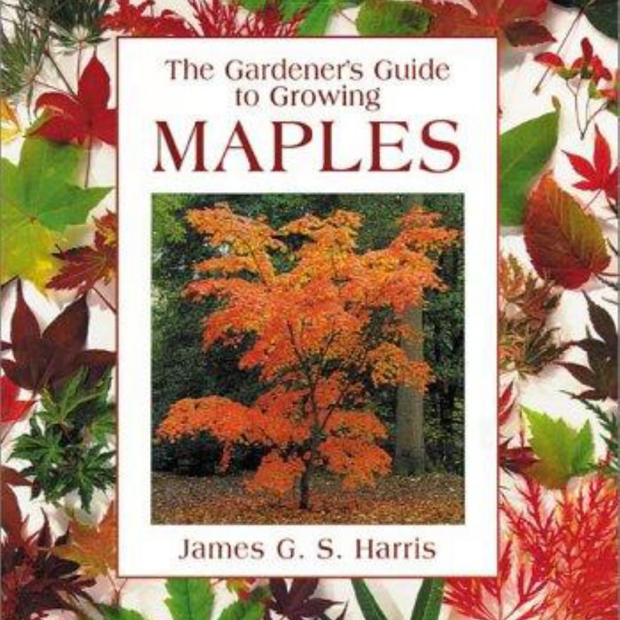 The Gardener's Guide to Growing Maples by James Harris