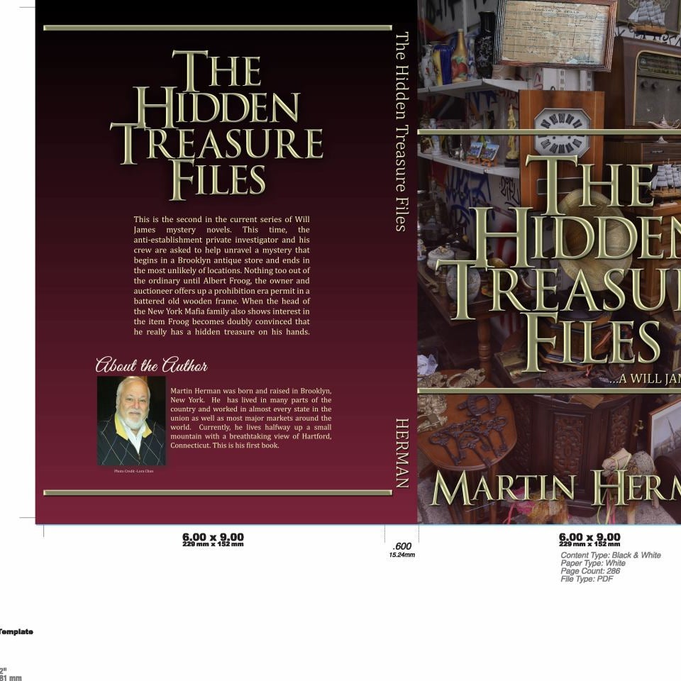 The Hidden Treasure Files by Martin Herman