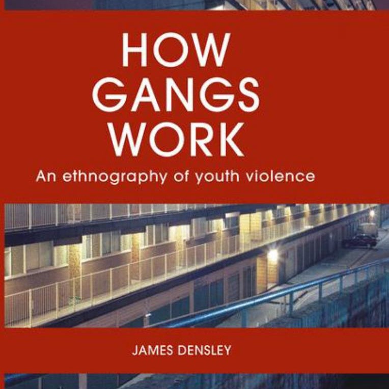 How Gangs Work by James Densley | Pangobooks