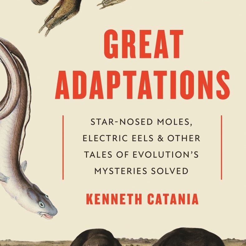 Great Adaptations by Kenneth Catania