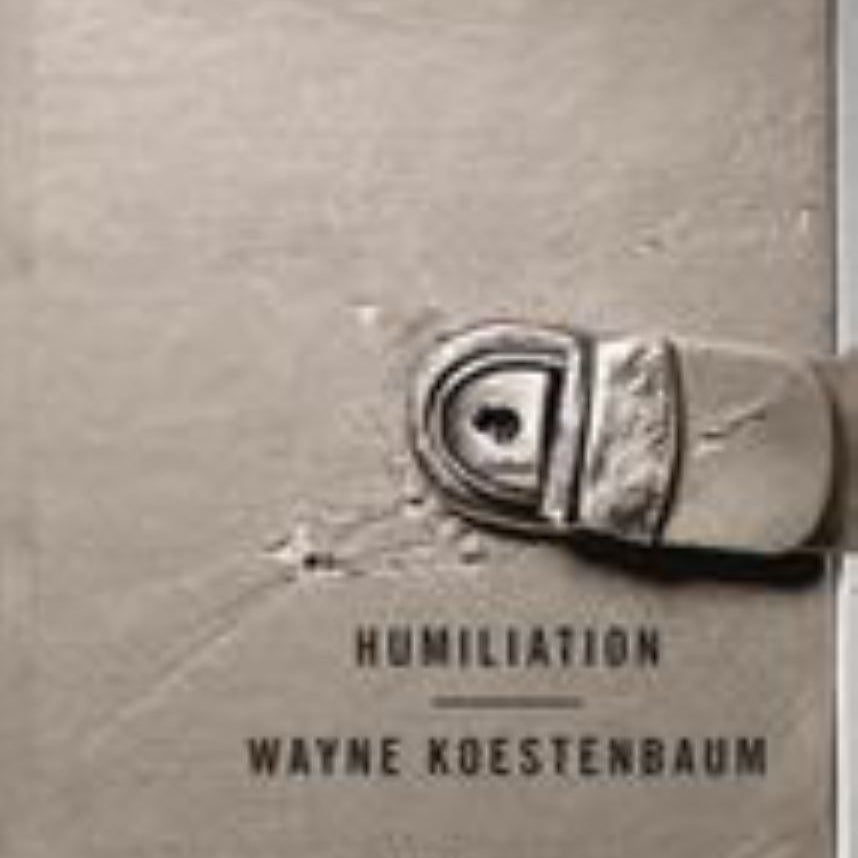 Humiliation by Wayne Koestenbaum