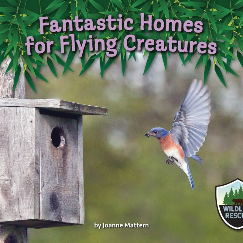 Fantastic Homes for Flying Creatures by Joanne Mattern