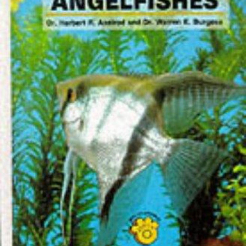 Freshwater Angelfish by Herbert R. Axelrod, Warren E. Burgess