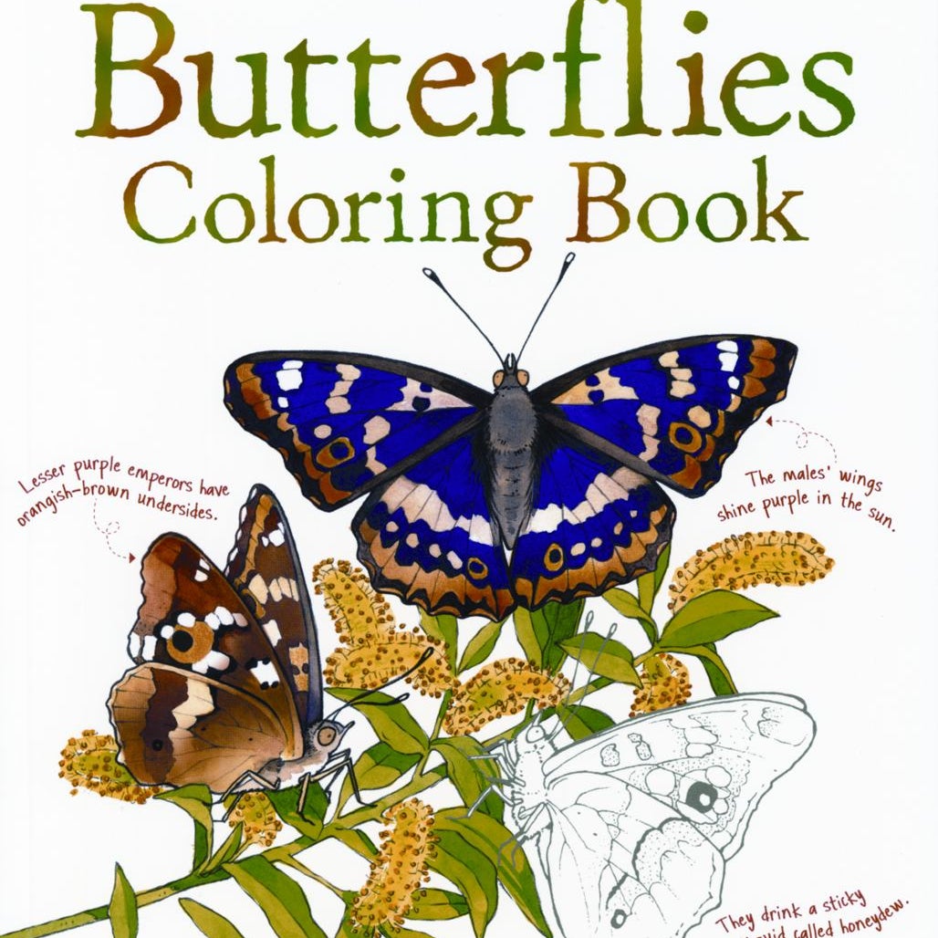 Butterflies Coloring Book by Megan Cullis