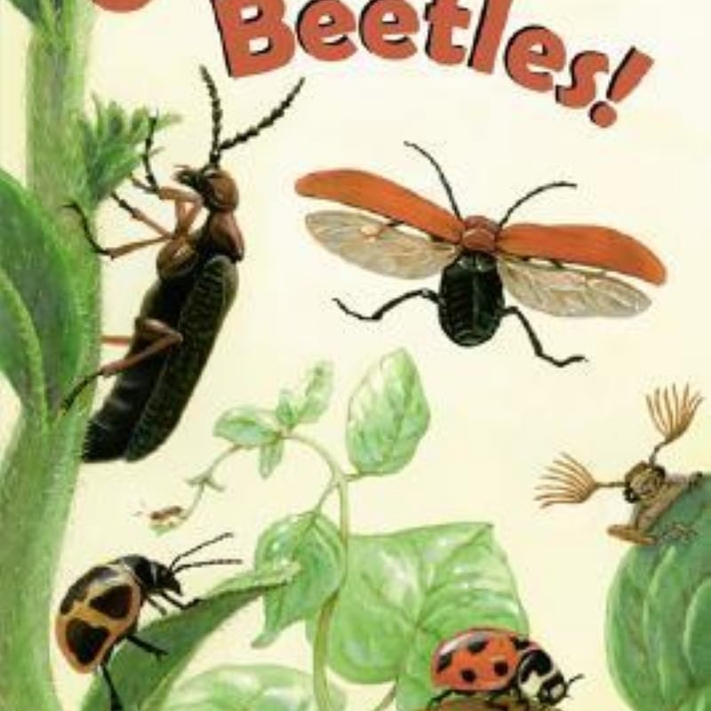 Creepy Beetles! by Fay Robinson