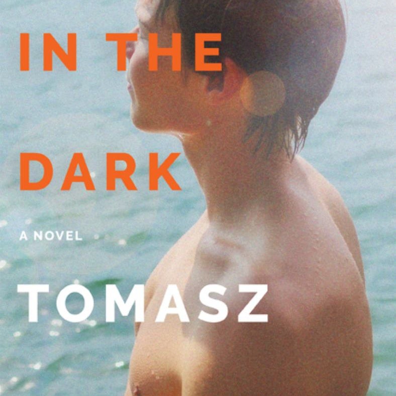 Swimming in the Dark by Tomasz Jedrowski | Pangobooks