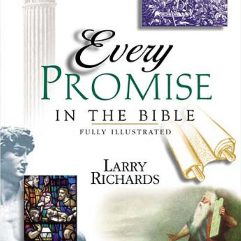 Every Covenant and Promise in the Bible by Larry Richards, Angie Peters