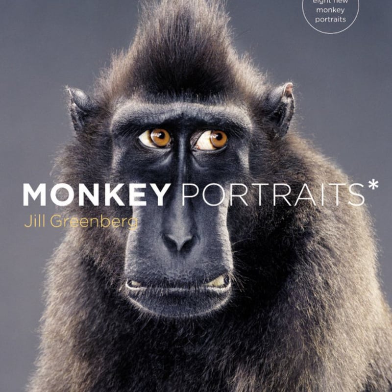 Monkey Portraits by Paul Weitz | Pangobooks