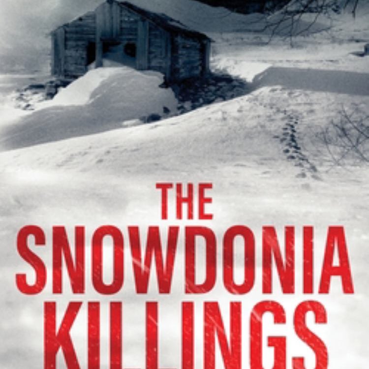 The Snowdonia Killings by Simon McCleave