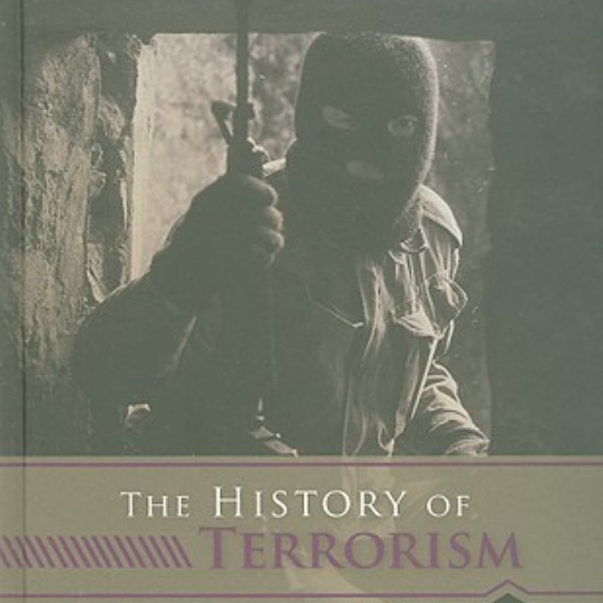 The History of Terrorism by Don Nardo