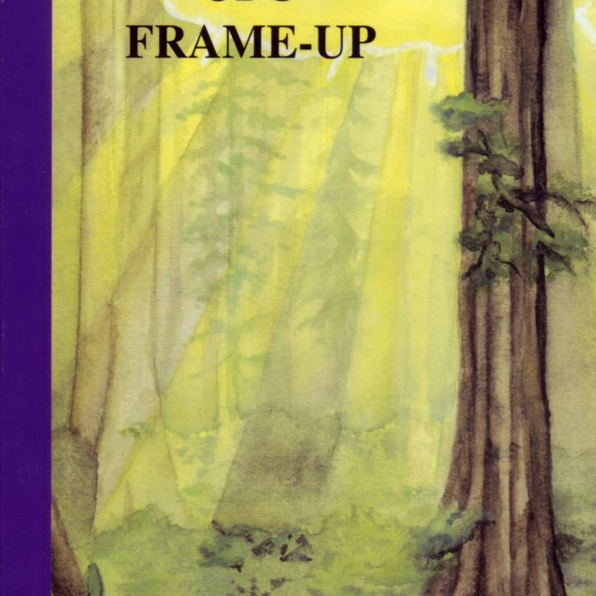 The Great UFO Frame-Up by Randy Horton