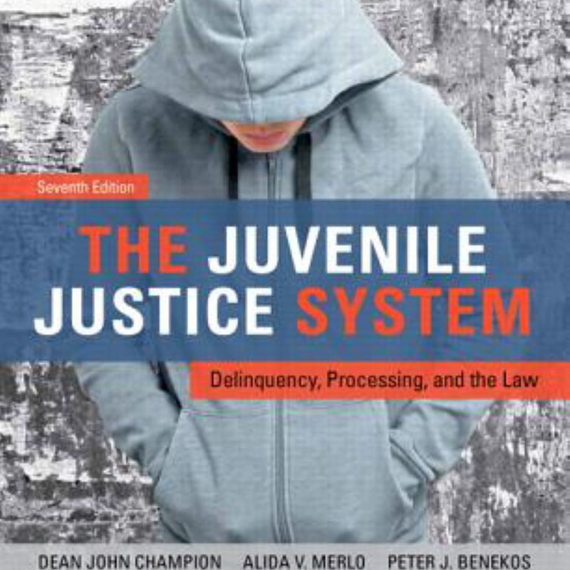 The Juvenile Justice System