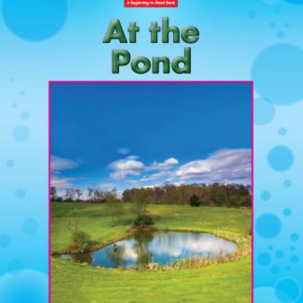 At the Pond by Mary Lindeen