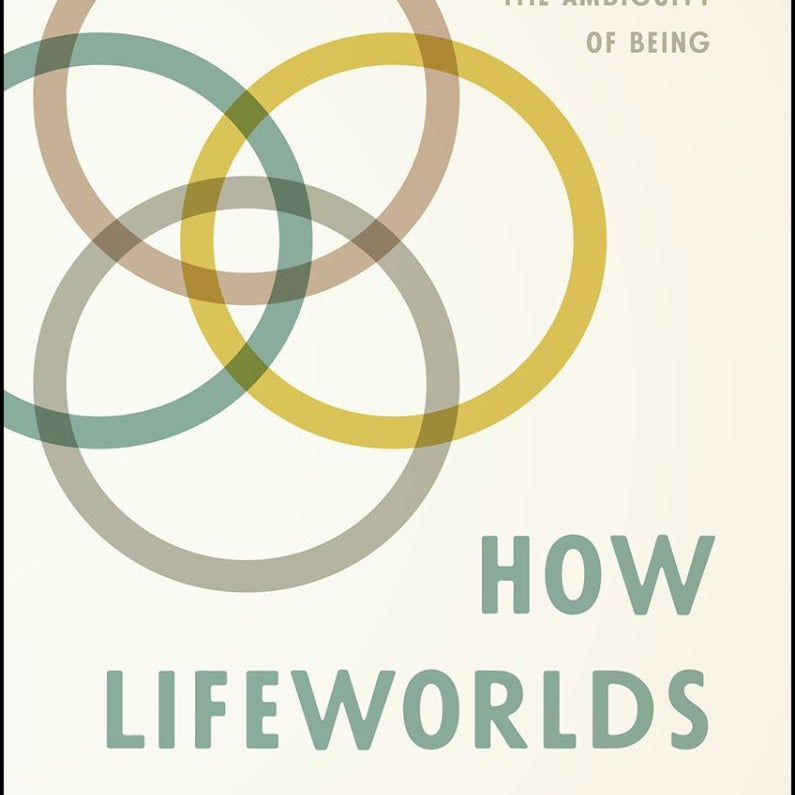 How Lifeworlds Work by Michael Jackson