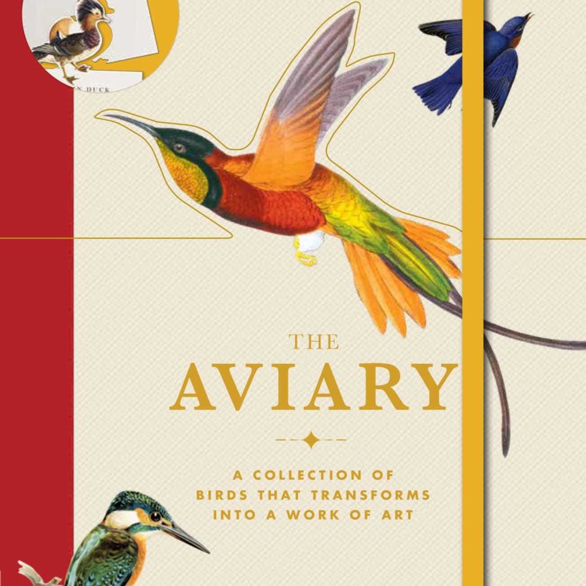Paperscapes: the Aviary by Matt Merritt