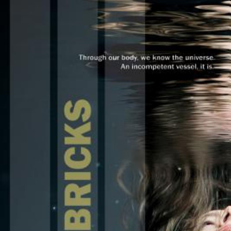 Bricks by Tony Bertauski