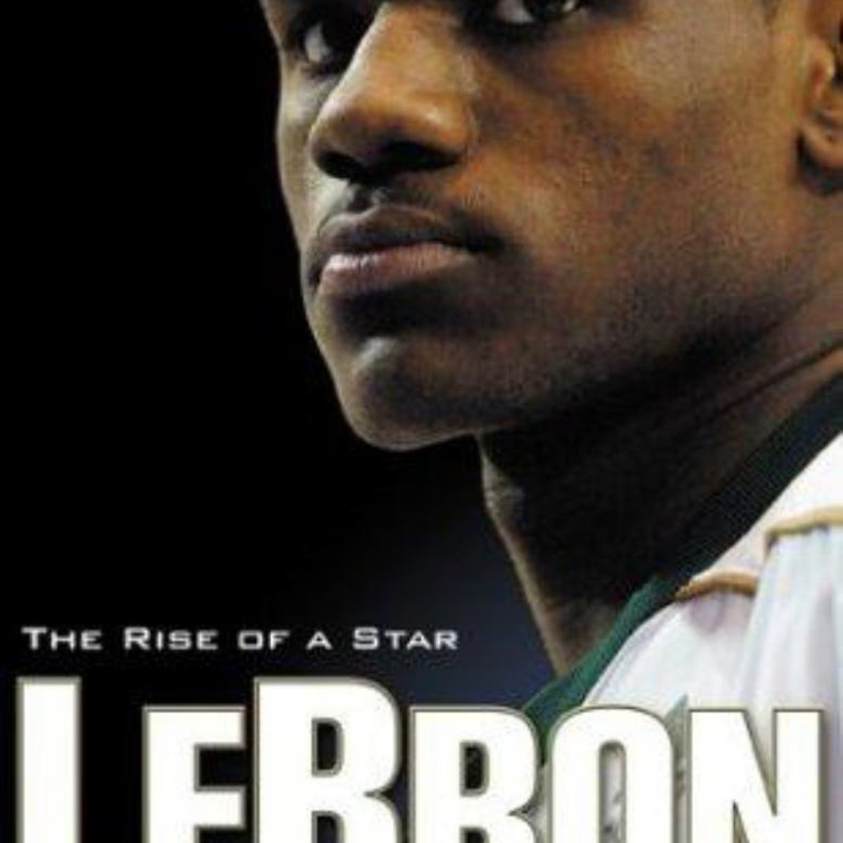 LeBron James by David Lee Morgan