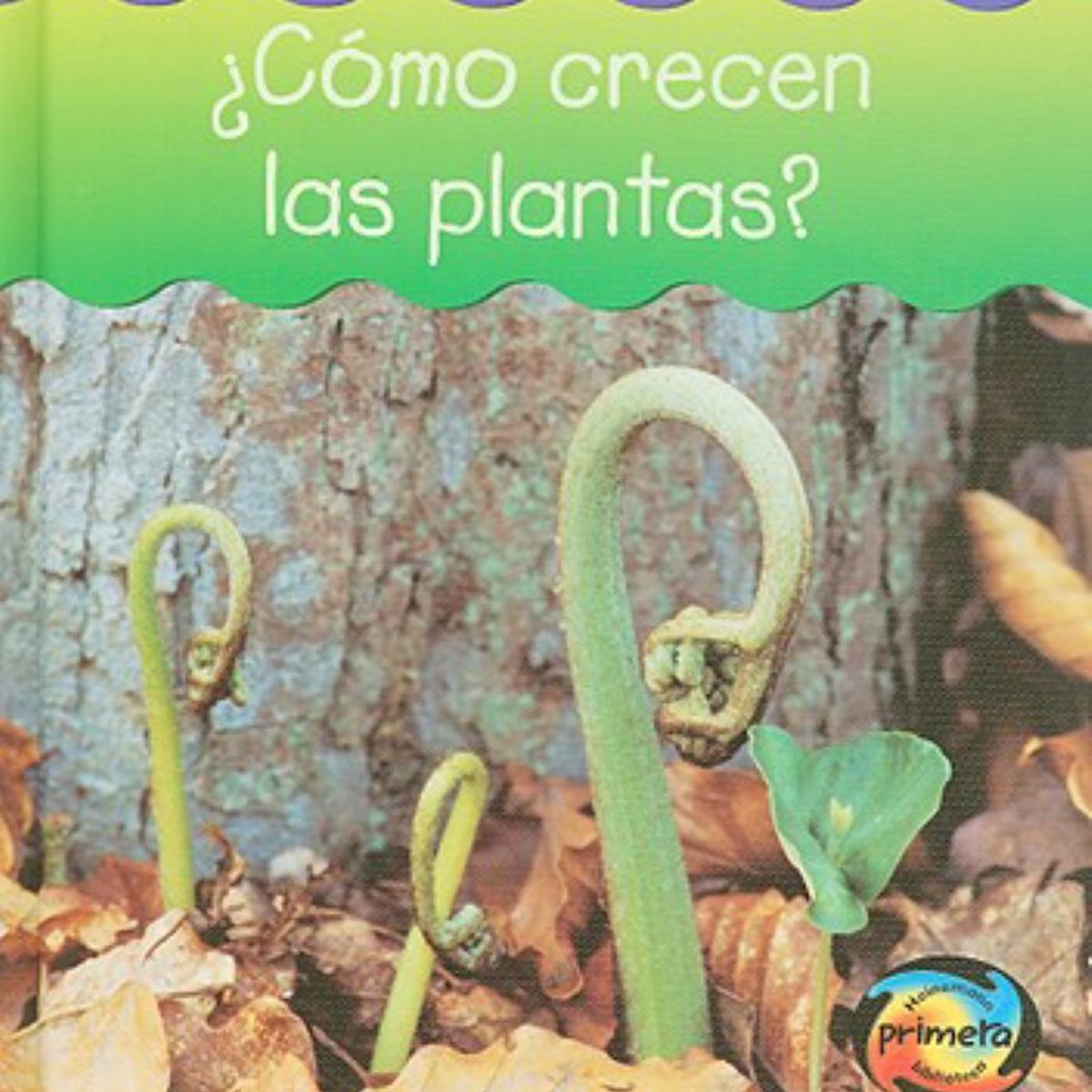 ¿Cómo Crecen las Plantas? by Louise Spilsbury, Richard Spilsbury
