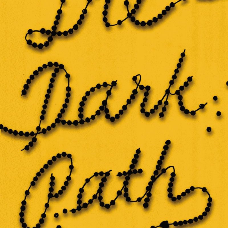 The Dark Path by David Schickler