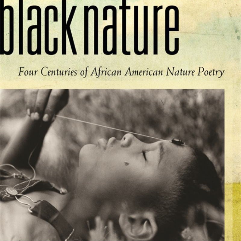 Black Nature