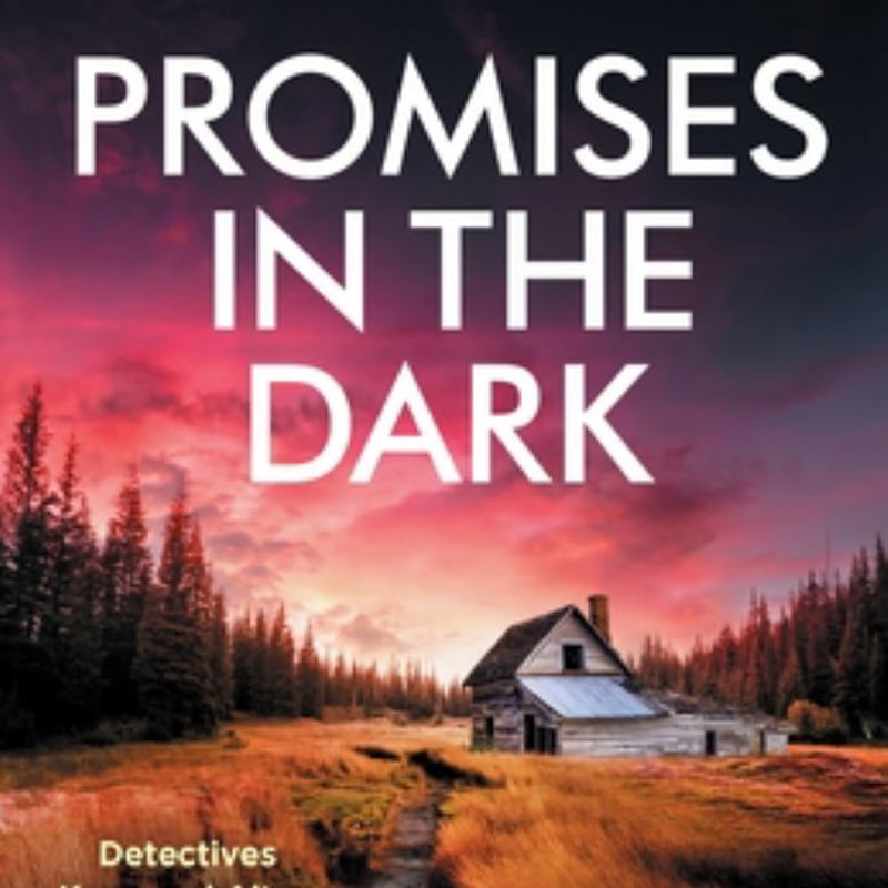 Promises in the Dark by D. K. Hood