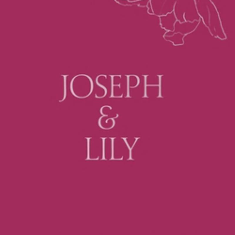 Joseph & Lily by Willow Winters | Pangobooks